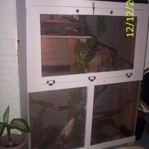 Self Built Snake enclosure | FaunaClassifieds